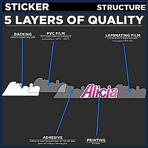 Hot Pink Custom Name Sticker Personalized Name Princess Queen Crown Die-Cut Decals Waterproof Vinyl Stickers for Water Bottle Tumbler Phone Case Cars Laptops Gifts Accessories Decal Gifts Ideas Girls