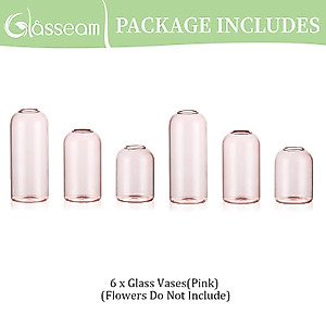 Glasseam Bud Vase Set of 6, Cute Pink Flower Vase Decor, Decorative Small Vases for Flowers, Unique Flower Vases for Centerpieces, Modern Cylinder Vases for Wedding Dining Table Decorations