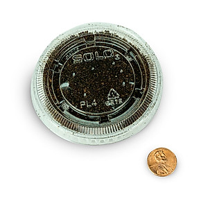 Josh's Frogs Black Soldier Fly Larvae (50 Count - Medium)