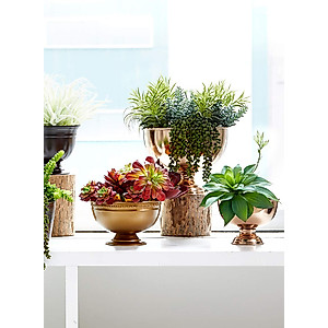 Serene Spaces Living Copper Finish Pedestal Bowl, Add Fruit or Treats for a Table Centerpiece or Use as Flower Compote, Ideal for Home Decor, Wedding, Party, Event, Measures 7.5" Tall and 10" Diameter