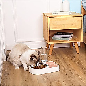 ZLXDP Double Pet Bowls Dog Food Water Feeder Pet Drinking Dish Feeder Cats Puppy Feeding Supplies Small Dog Accessories Stainless Steel (Color : Blue)