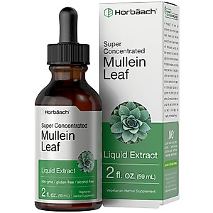 Horbäach Mullein Leaf Tincture Drops | 2 fl oz | Alcohol Free Liquid Extract | Vegetarian, Non-GMO & Gluten Free Herbal Supplement