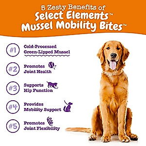New Zealand Green Lipped Mussel Bites for Dogs - 500 mg Dog Hip & Joint Support Supplement Soft, 90 Count, Assorted