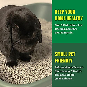 Fresh News Recycled Paper Small Animal Litter Bedding, 10 Liters