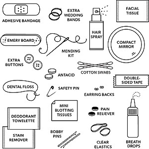 Pinch Provisions Minimergency Kit for Brides, Velvet Sage, Includes 21 Must-Have Emergency Essential Items for Your Big Wedding Day, Compact, Multi-Functional Zipper Pouch, Perfect Survival Kit Gift