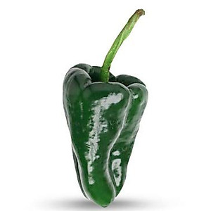 Poblano Ancho Grande Hot Chile Pepper Seeds for Planting, 50+ Heirloom Seeds Per Packet, (Isla's Garden Seeds), Non GMO, Botanical Name: Capsicum annuum, Great Home Garden Gift
