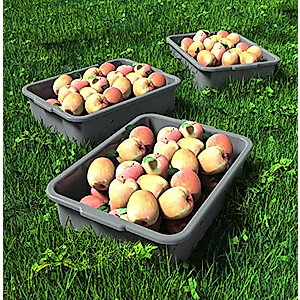 5-Pack Commercial Bus Tubs Box/Tote Box, Plastic Storage with Handles, Wash Basin Tub 8 Liter (Gray)