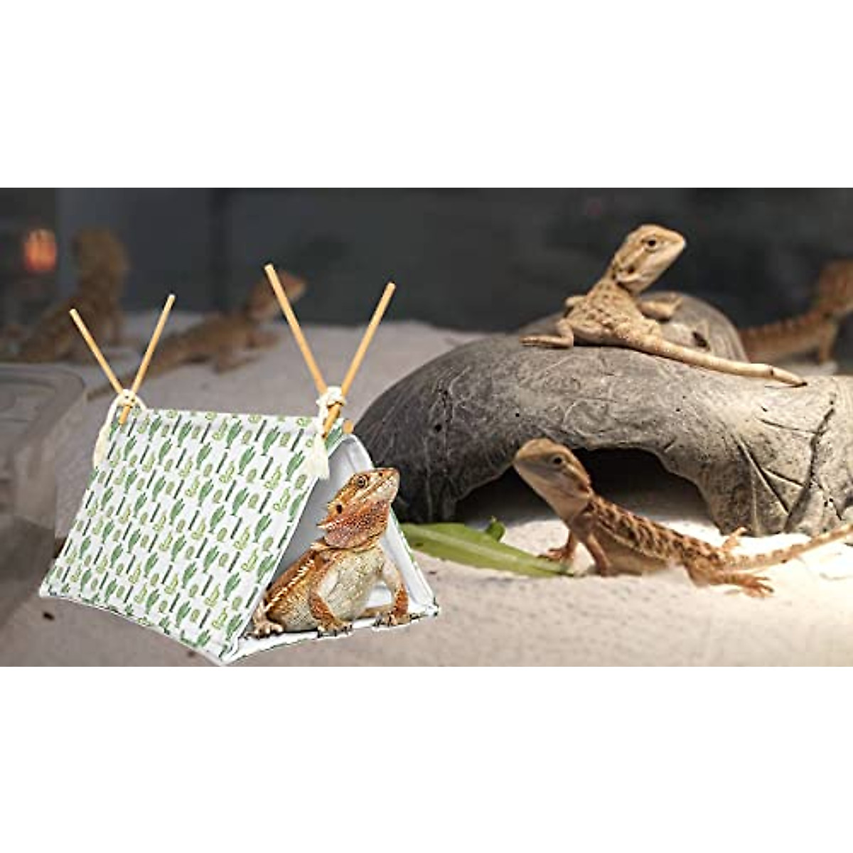 Bearded Dragon Tent Bed,Cactus Pattern Reptile Bearded Dragon cage/hides and Caves/Habitat Hideout… (Cactus)