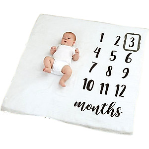 Mud Pie Monthly Milestone Blanket Photo Prop Set