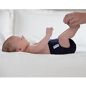 GroVia Experience Package: 2 Shells + 4 Organic Cotton Soaker Pads (Color Mix 10 Snap)