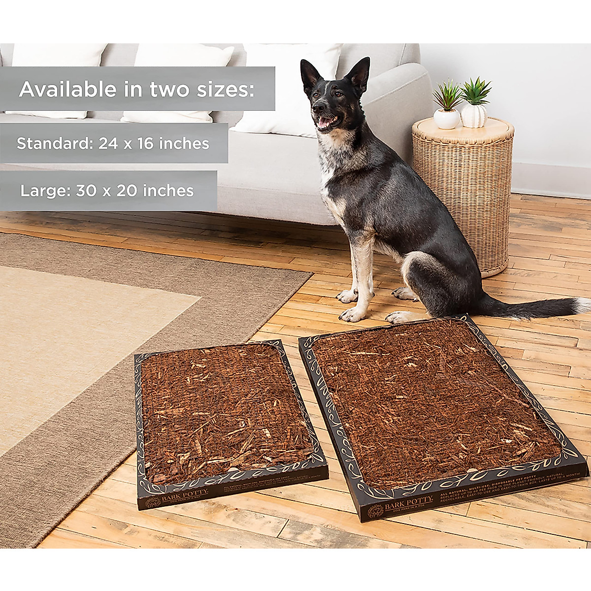 Bark Potty Disposable Training Pads, Multi Use Leak-Proof and Odor Control Puppy Pee Pads | 30 x 20 Standard Pee Pads for Dogs | Natural Bark Potty Pads for Dogs - Dog Housebreaking & Puppy Supplies