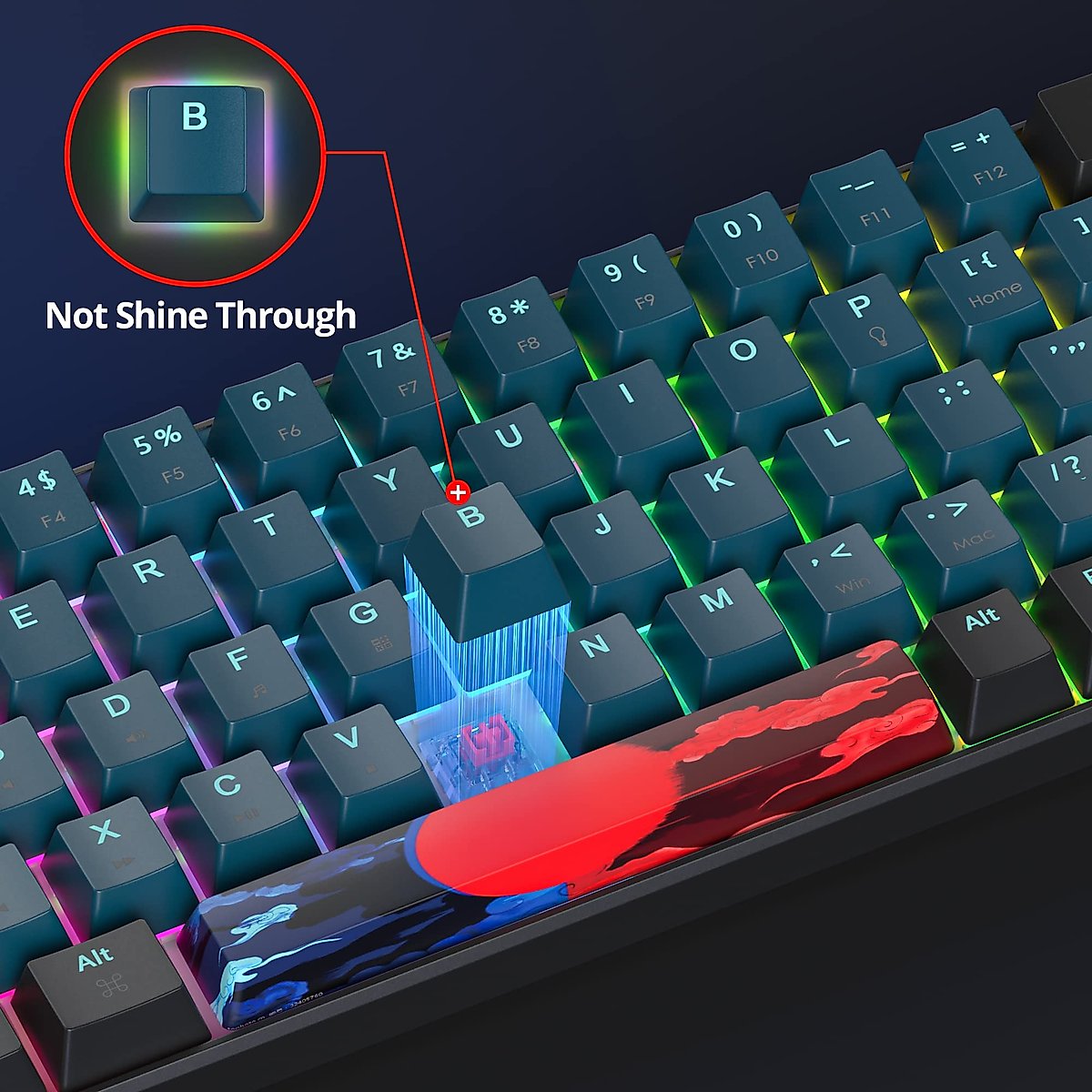 Ussixchare 65 Percent Mechanical Gaming Keyboard 68 Keys RGB Gaming Keyboard with Red Switch Wired Keyboard for Windows PS4/5 Xbox Gamers(68 Monster)