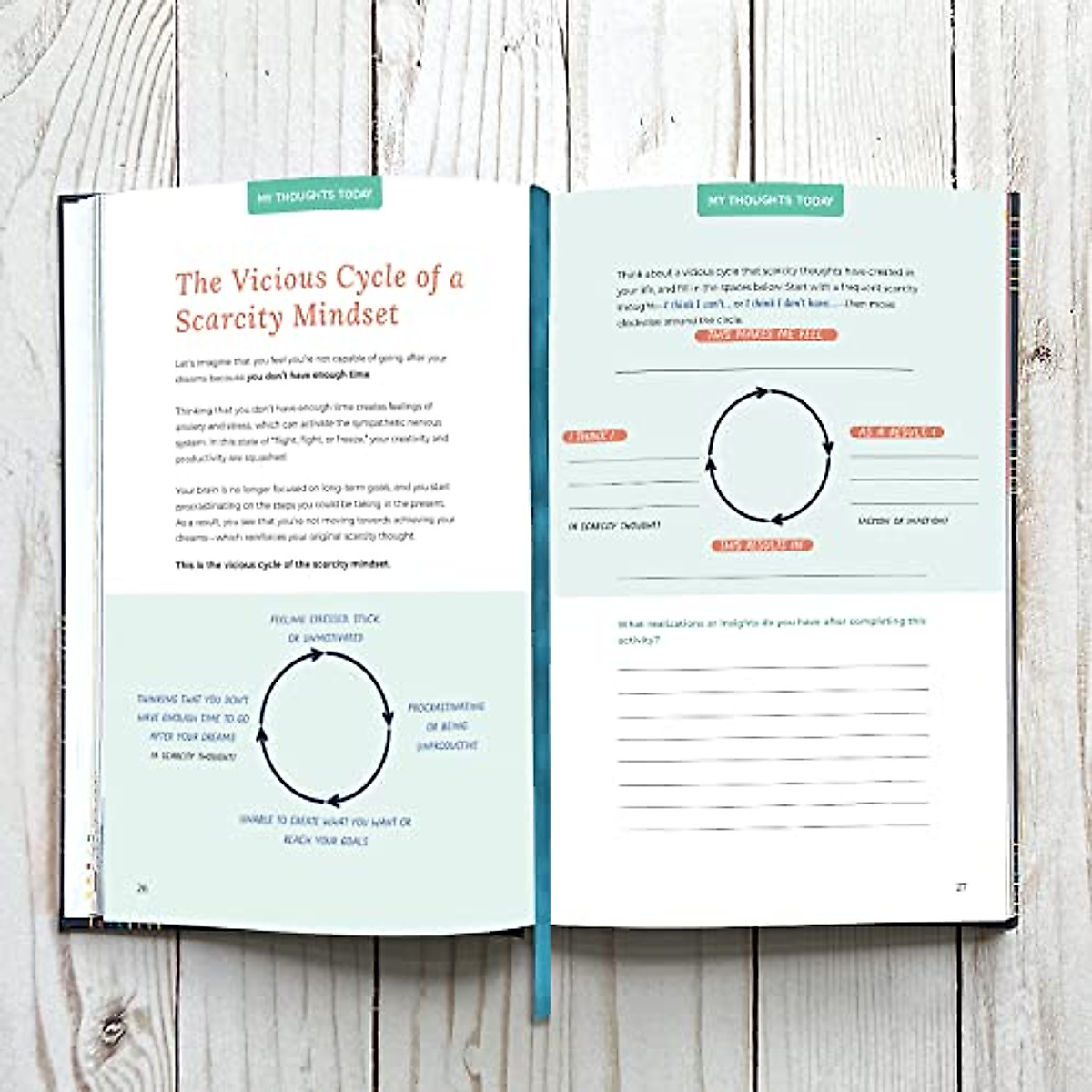 Big Life Journal - Adult Edition - Gender-Neutral Guided Journal, Self Improvement & Growth Mindset Planner, Positivity and Motivational Goal Oriented Prompts, Self Awareness and Mental Wellness, Manage Anxiety and Create Healthy Habits