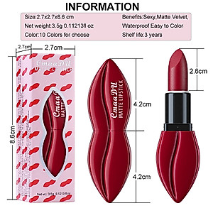 Easilydays Matte Red Lipstick for Women, Moisturizing Velvet Lipsticks, Long Lasting Smudge-Proof Lip Stick, Light Bright Labiales Matte Lipstick Lip Stain High Pigmented Dark Makeup Lip Gloss (#10)