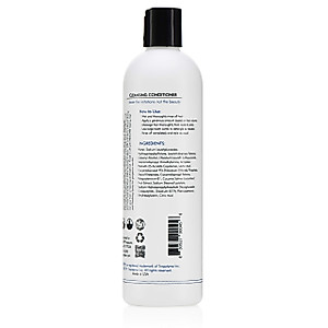 FRAGFRE Cleansing Conditioner for Fine Fragile and Treated Hairs 12 oz - Co-Wash for Sensitive Scalps - No Fragrance No Sulfate No Parabens - Hypoallergenic Vegan Co-wash (1 Pack)