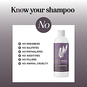 Tea Tree Shampoo for Oily Hair - Paraben and Sulfate Free Clarifying Shampoo for Build Up and Dry Scalp with Tea Tree Oil for Hair - Purifying Aromatherapy Tea Tree Oil Shampoo for Greasy Hair