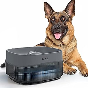 Loomla Dog Water Fountain, 135oz/4L Dog Water Bowl Dispenser and Cat Water Fountain, Automatic Pet Water Fountain for Small to Medium Dogs, Cats & Other Pets (Grey)