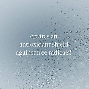 Dermalogica Antioxidant Hydramist Toner (1 Fl Oz) Anti-Aging Toner Spray for Face that helps Firm and Hydrate Skin - For Use Throughout the Day