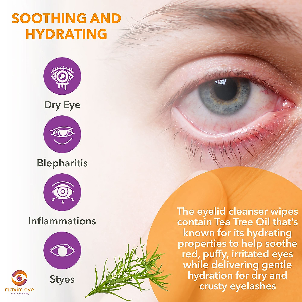 Maxim Eye Tea Tree Eyelid Wipes 36 Pieces, Exfoliating Eyelid Scrubs for Dry, Itchy, Swollen and Irritated Eyes, Eyelid Cleanser and Makeup Remover, Individually Packaged Eyelash Wipes