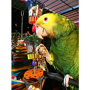 Super Bird Creations SB632 Foraging Bottom’s Up Bird Toy with Clear Acrylic Cups, Medium /Large Bird Size, 18” x 2.5”