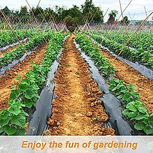 BetyBedy 5 x 15FT Trellis Netting, Heavy-Duty Polyester Plant Trellis Netting, Square Mesh Net for Climbing Plant, Fruits, Vegetables, Vines, Grow Tents (1 Pack, White)