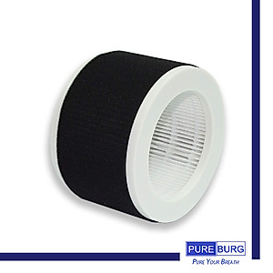 PUREBURG EPI810 Replacement Filters Compatible with Mooka & KOIOS EPI810 Air Purifiers,H13 HEPA 3-Stage Filtration Activated Carbon Air Clean Dust VOCs,2-Pack