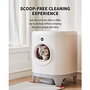 PETKIT New Updated PuraX Self-Cleaning Cat Litter Box, Scooping Free Automatic Cat Litter Box for Multiple Cats with Litter Mat, xSecure/Odor Removal/APP Control