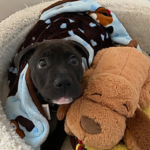 Snuggle Puppy Blanket for Pets - Extra Soft and Long Lasting - Blue Pattern
