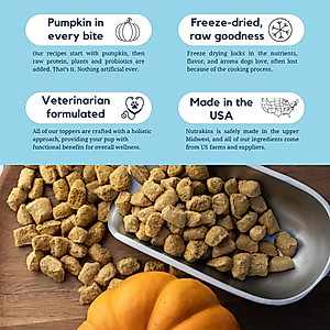 Nutrakins Salmon & Pumpkin Topper for Dogs - Freeze Dried Dog Treats & Toppers, Raw Mixers for Meals, Healthy for Picky Eaters, Natural & Wholesome Protein Add Ins, Digestive Health, Fish Oil