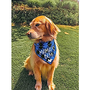 YHTWIN Mama's Boy Blue Plaid Cotton Pet Dog Bandanas, Gender Reveal Photo Pet Scarf Scarves, Dog Birthday Party Decorations Accessories Props for Pet Dog Master Lovers Gift