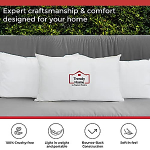 Trendy Home 12x20 Throw Pillow Insert (pack of 2, White), Bed and Couch Pillows Stuffer Hypoallergenic, Lumbar Support Decorative Home Outdoor Pillow Filler (Non Woven, 2 Pack)