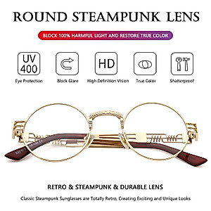 AIEYEZO Round Steampunk Sunglasses Circle Lennon Hippie Glasses Metal Frame 100% UV Blocking Lens (Gold/Transparent)