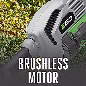 EGO Power+ MBB2100 Bristle Brush Attachment & Power Head-Battery and Charger not Included, Black