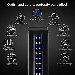 CURRENT USA 24-36" Inch Orbit Marine IC Loop LED Saltwater Reef Marine Aquarium Light with Bluetooth App Control | Wireless Lighting & eFlux Wave Pump Control for Fish Tank (4205)
