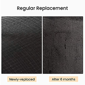 smartmi Filter Replacement - H13 True HEPA, Preliminary Layer and Inner Layer - Absorbs Pollen, Dust, and More Particles at Home, Office (2)