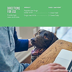 Elanco Lactoquil Soft Chews Digestive Health Probiotic Supplement for Dogs, 75 Count