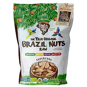 Floresta em Pé The True Organic Premium Brazil Nuts (15oz) Raw & Unsalted | Kosher | Non-Gmo | Certified Organic | Fresh | Vegan | Gluten Free | Keto & Paleo Friendly | Sustainably Harvested