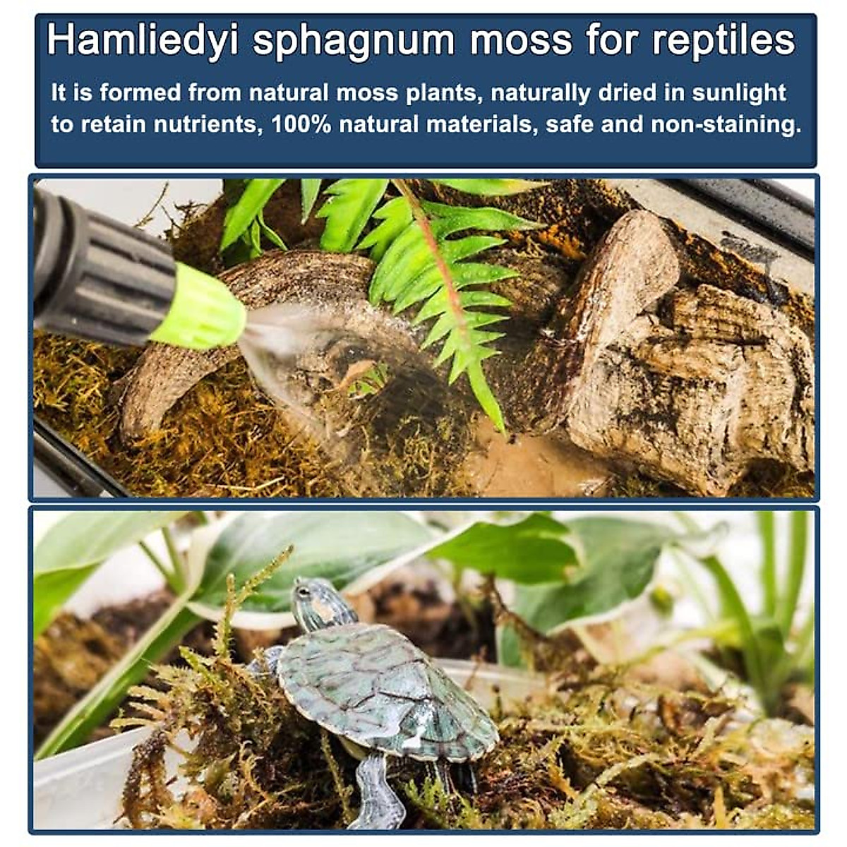 Hamiledyi Natural Sphagnum Moss Bedding Reptile Moss for Frogs Toads Salamanders Turtles Anoles or Green Snakes and Other Reptiles and Amphibians (10.58 OZ)