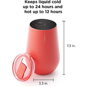 Rabbit Stainless Steel Tumbler