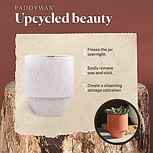 Paddywax National Parks Artisan Hand-Poured Scented Candle, 11-Ounce, Glacier - White Pine + Hemlock