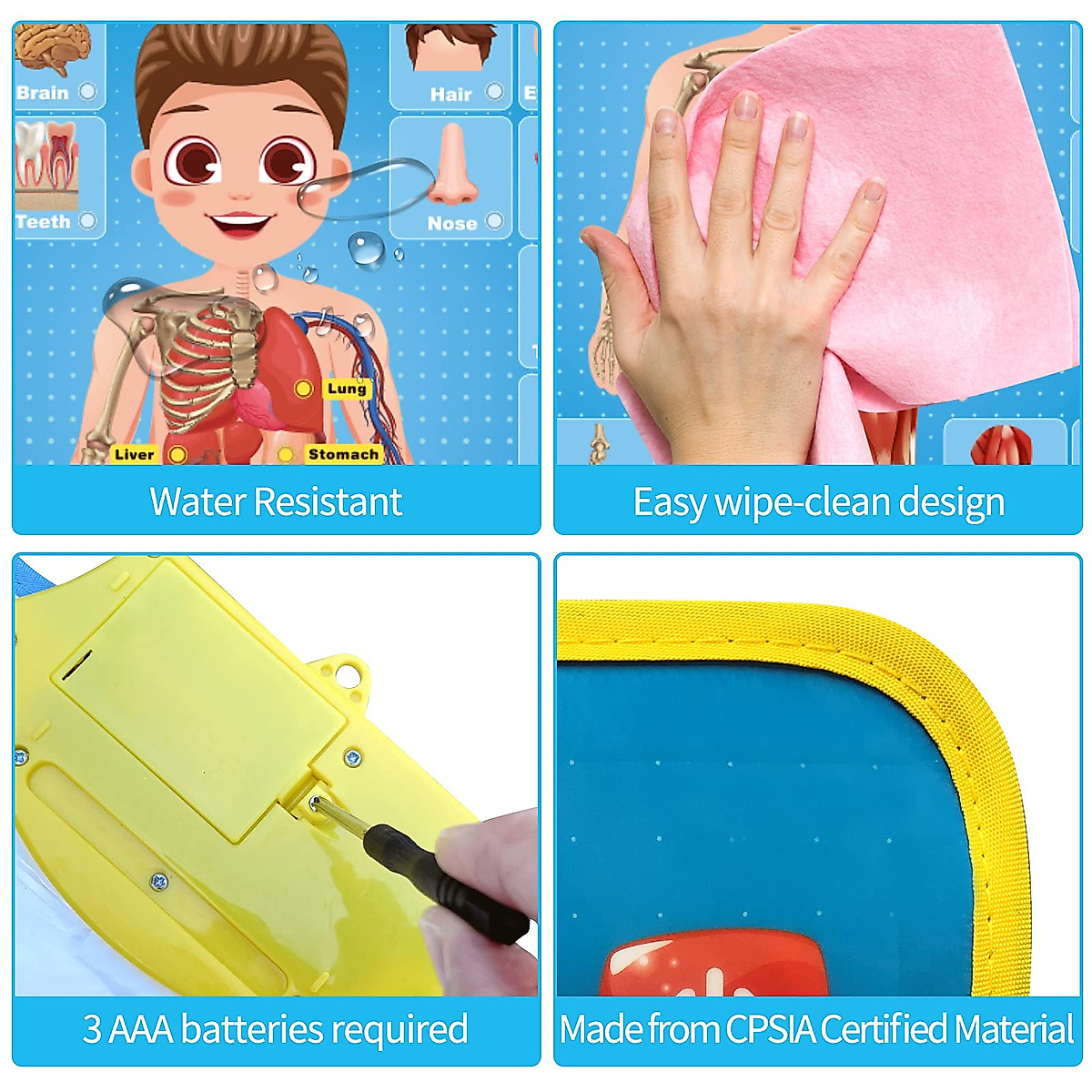 JOYLEARN My Body Interactive Educational Poster for Toddlers and Kids to Learn Body Parts, Organs, Muscles and Bones, 16'' x 22''