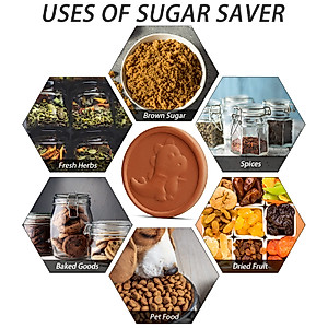 BARST Brown Sugar Saver and Softener Disc with Lovely Dinosaur Design, Brown Sugar Keeper for Food Storage Containers, Reusable & Food Safe, Terracotta 6 Pack
