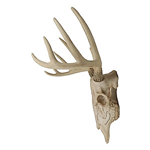 Ebros Gift Rustic Hunter Deer 10 Point Buck Skull Trophy Antlers Wall Mounted Plaque Trophy Decor Figurine 14.25" Long Hunter's Antler Rack Theme Deers Bucks Hunting Skulls Trophies Hanging Sculptures