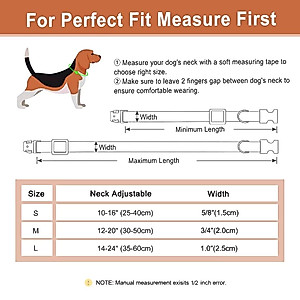 KINYABLUE Floral Pattern Cute Dog Collar for Large Dogs, Personalized Custom Dog Collars with Name, Soft Cotton Fall Dog Collar Girl with Detachable Bowtie & Flower, L (14-24")