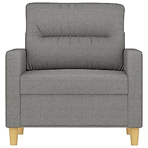 WHOPBXGAD Sofa Chair,Living Room Sofas, upholstered Sofas for Living Rooms, bedrooms, Offices and Apartments,Dark Gray 23.6" Fabric