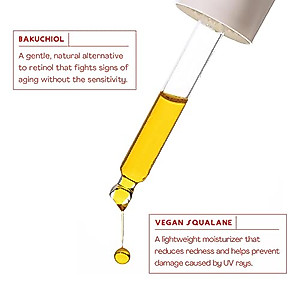 Bodysurf Face Oil, Marine Layer | Natural Retinol Alternative Facial Oil with Squalane, Niacinamide, Bakuchiol | Lightweight and Hydrating Face Oil for Women