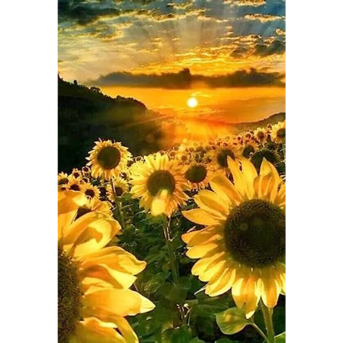 Sunset Sunflower Cross Stitch Kits Stamped Full Range of Embroidery Starter Kits for Beginners DIY (Plant Landscape Sunflower, 11CT)/16x20 inch