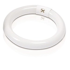 PHILIPS LED 392225 Circline Fluorescent 22-Watt 8-Inch T9 Bright White, 1 Pack