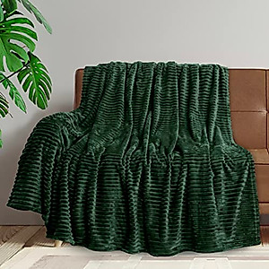 PAVILIA Cozy Fleece Blanket Throw | Fuzzy, Super Soft, Plush, Luxury Flannel Throw | Warm Ribbed Microfiber Blanket for Sofa Couch Bed (Emerald Green, 50x60 inches)