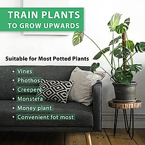 Moss Pole - 26.4 Inch Moss Pole for Plants Monstera, 2 Pack 15.7 Inches Coco Plant Pole for Climbing Indoor Potted Plants, Train Monstera Philodendron Pothos Creeper Plants Grow